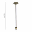 Champagne Gold Pathos - Pendant Light Fitting – Cotterell & Co