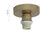 Champagne Gold Pathos - Pendant Light Fitting – Cotterell & Co