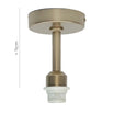 Champagne Gold Pathos - Pendant Light Fitting – Cotterell & Co